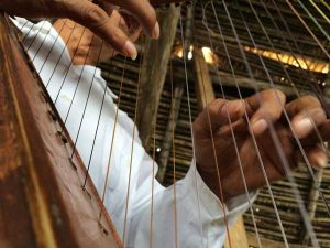 10 Best Harps for Beginners and Things You Need to Know Before You Buy