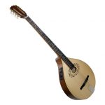 What is a Cittern Instrument? - Learn more about the Cittern ...