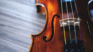 What Are Stringed Instruments? Your Comprehensive Guide – Folkstrings.com