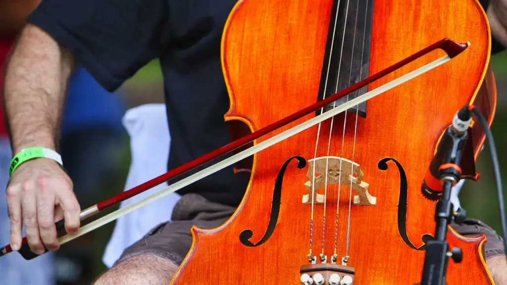 Learning Cello as an Adult - Everything You Need to Know - Folkstrings.com