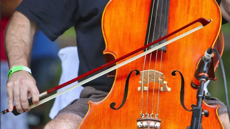Learning Cello as an Adult – Everything You Need to Know – Folkstrings.com