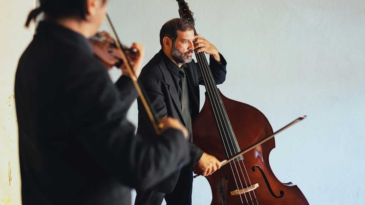 Learning Cello as an Adult – Everything You Need to Know – Folkstrings.com