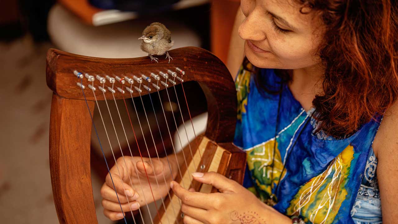 Types of Small Harp: Exploring Compact and Portable Options ...